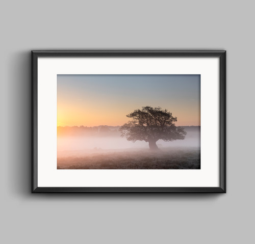 PRINT - The Special Place | danielwretham