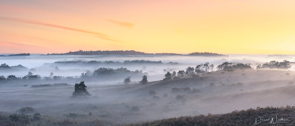 A Look Back Over 2019