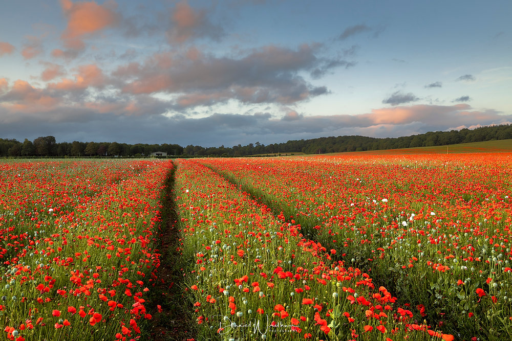 Landscape Photography Blog, August 2021