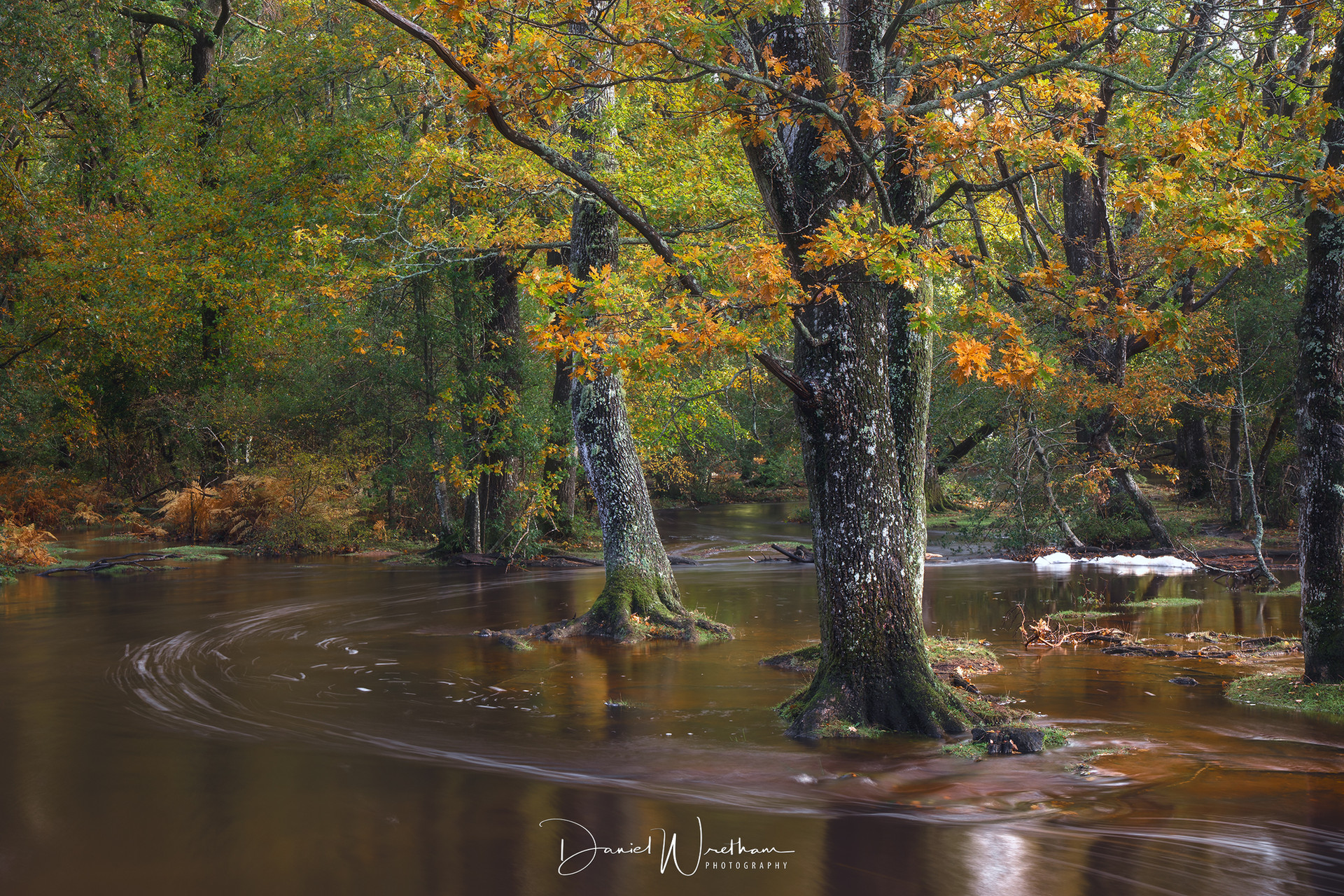 Daniel Wretham Photography - Latest Images