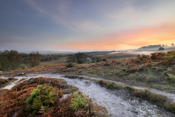 Daniel Wretham Photography | New Forest Landscape Photography