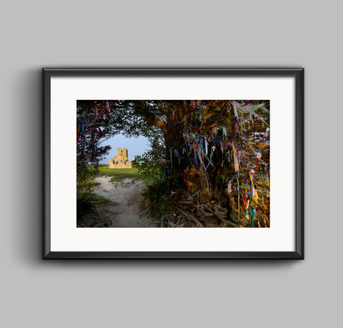PRINT - The Wishing Trees | danielwretham