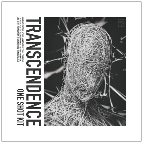 HZE - TRANSCENDENCE (ONE SHOT KIT) | Sosouthernsoundkits