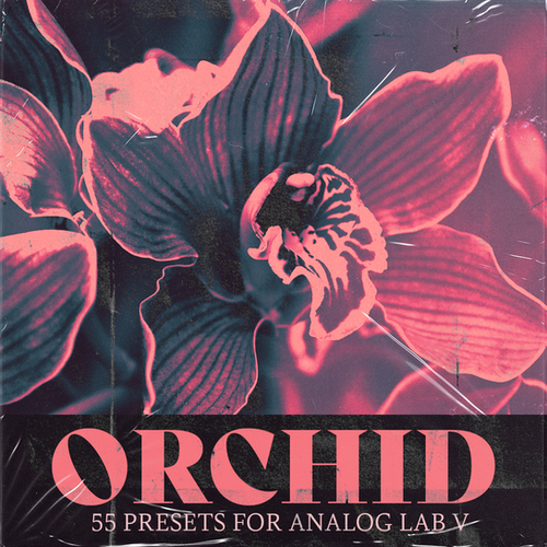 Audio Juice - Orchid (ANALOG LAB V SOUNDBANK) | Sosouthernsoundkits