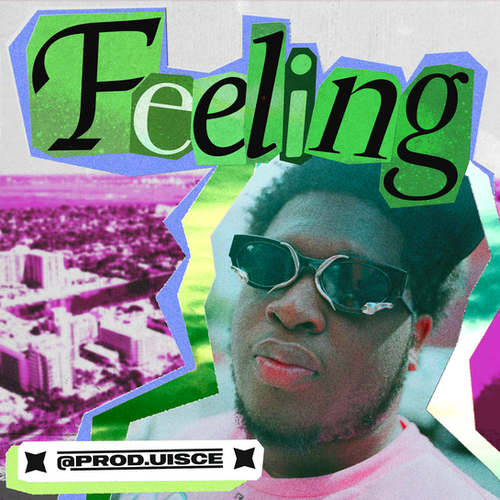 @Prod.uisce - FEELING Loop Kit (Sexy Drill, Cash Cobain ...