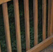 Wegonebeok (Ok) - 10k One Shots | Sosouthernsoundkits