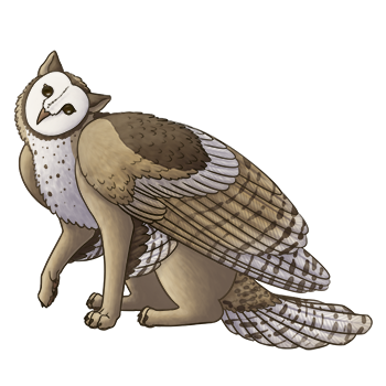 Owlcat