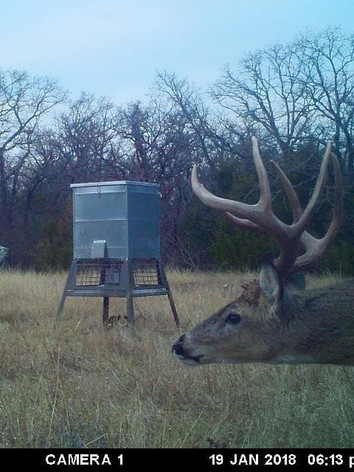 All Seasons Feeders 600 lb Stand & Fill Broadcast Feeder | Phillips ...