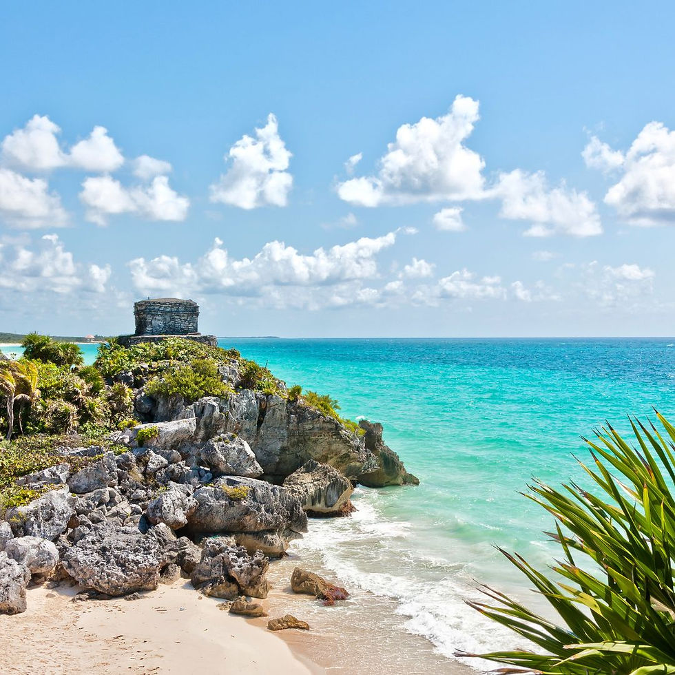 The Mayan Train Route | Firsthand Experience