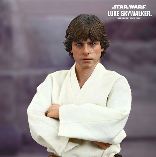 Luke Skywalker - Training - Star Wars - Hot Toys | Medicom Toy Store