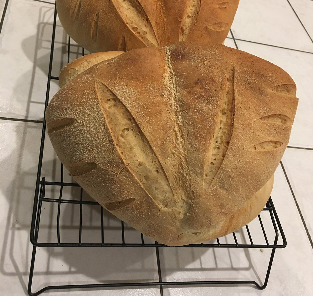 Iconic Italian Bread