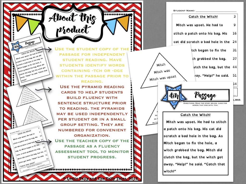 Building Fluency with "Pyramid Reading Passages" and a FREEBIE!