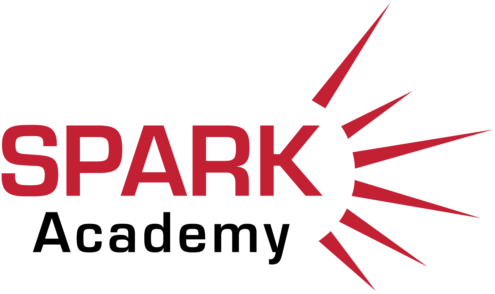 Spark Academy Logo Spark Academy