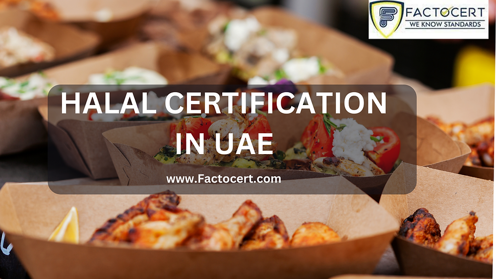 The Travel and Tourism Scene inside the United Arab Emirates: The ...