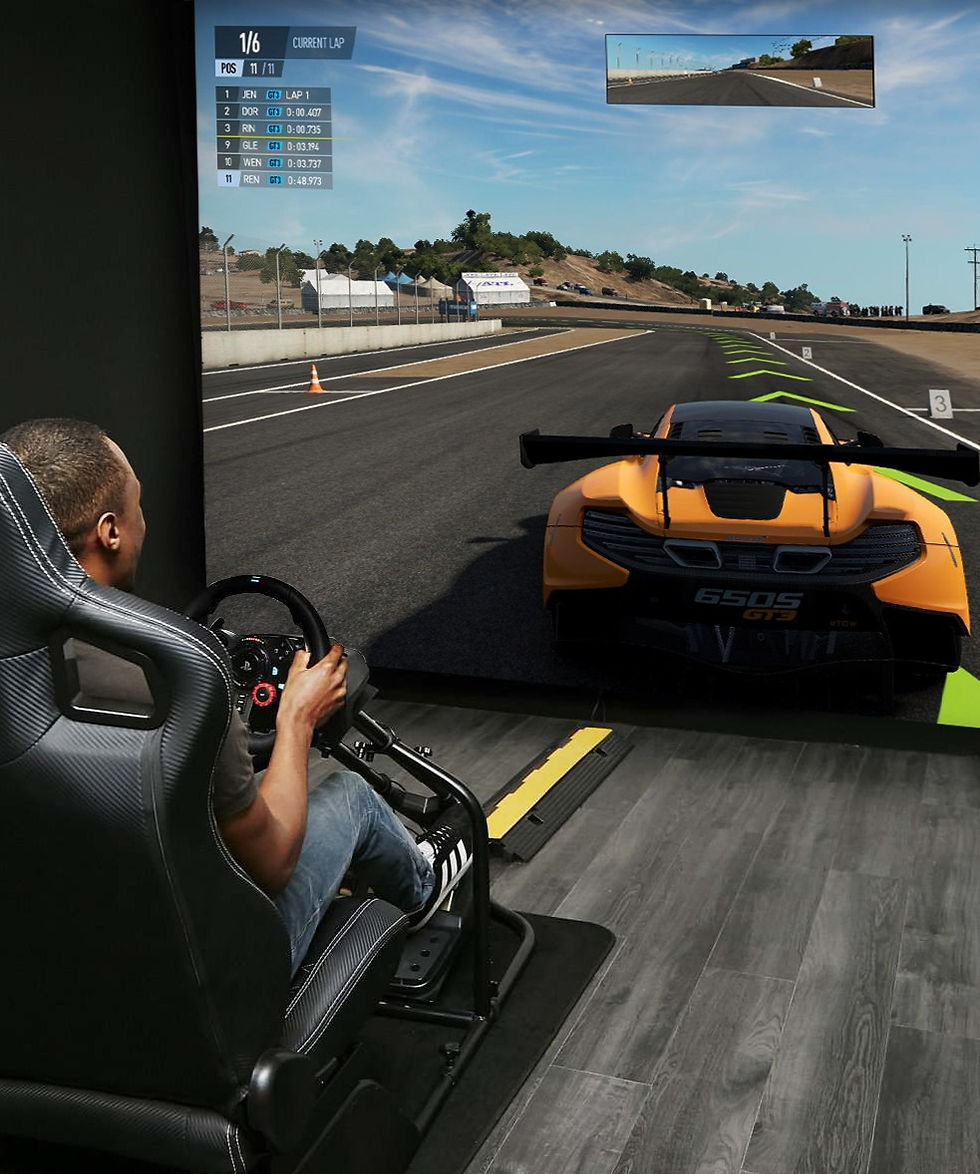 Sports Simulator | Playing All Major Sports Indoors