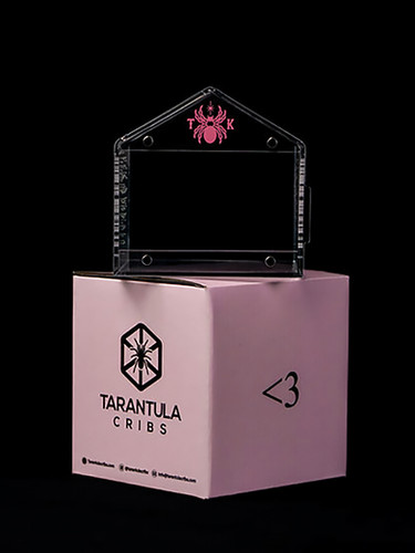 Tarantula Cribs Tarantula Kat