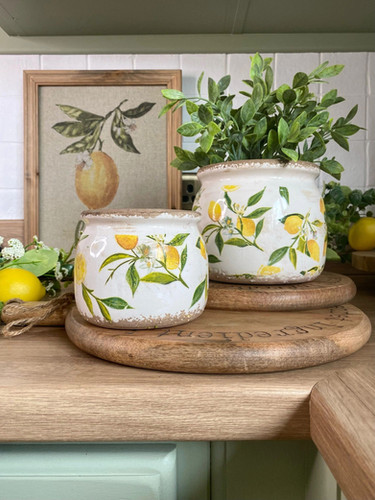 Large Lemon Planter with Lipped Rim | HDI