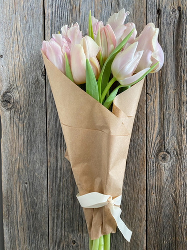 Tulip Subscription- 3 weeks | Sherwood Roots