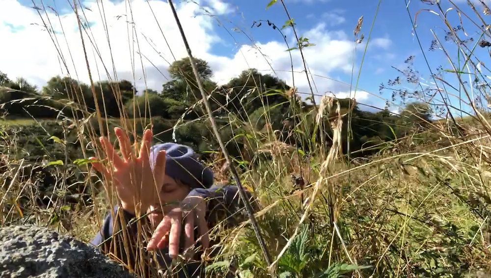 Exploring Nature Through The Senses