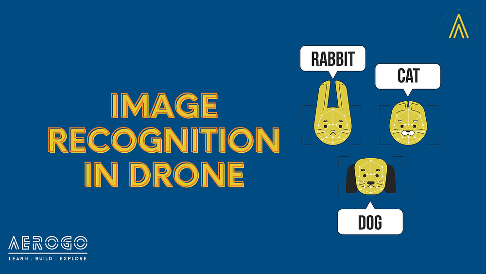 Power of Machine Vision and Image Recognition in Drone Applications