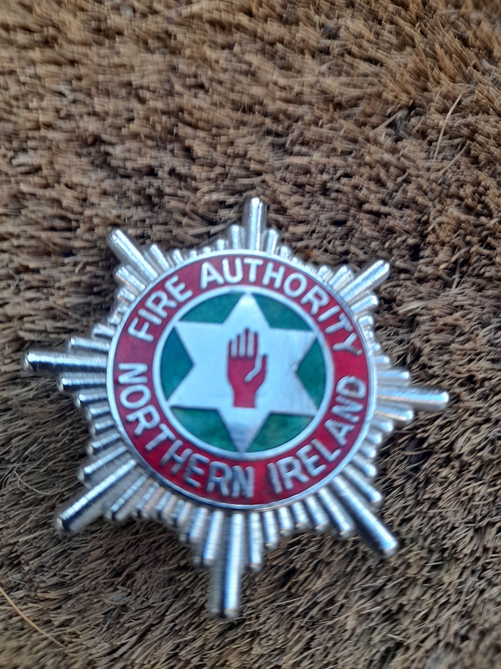 Northern Ireland Fire Brigade 1984 To 2006 Cap Badge | jsf-collectables