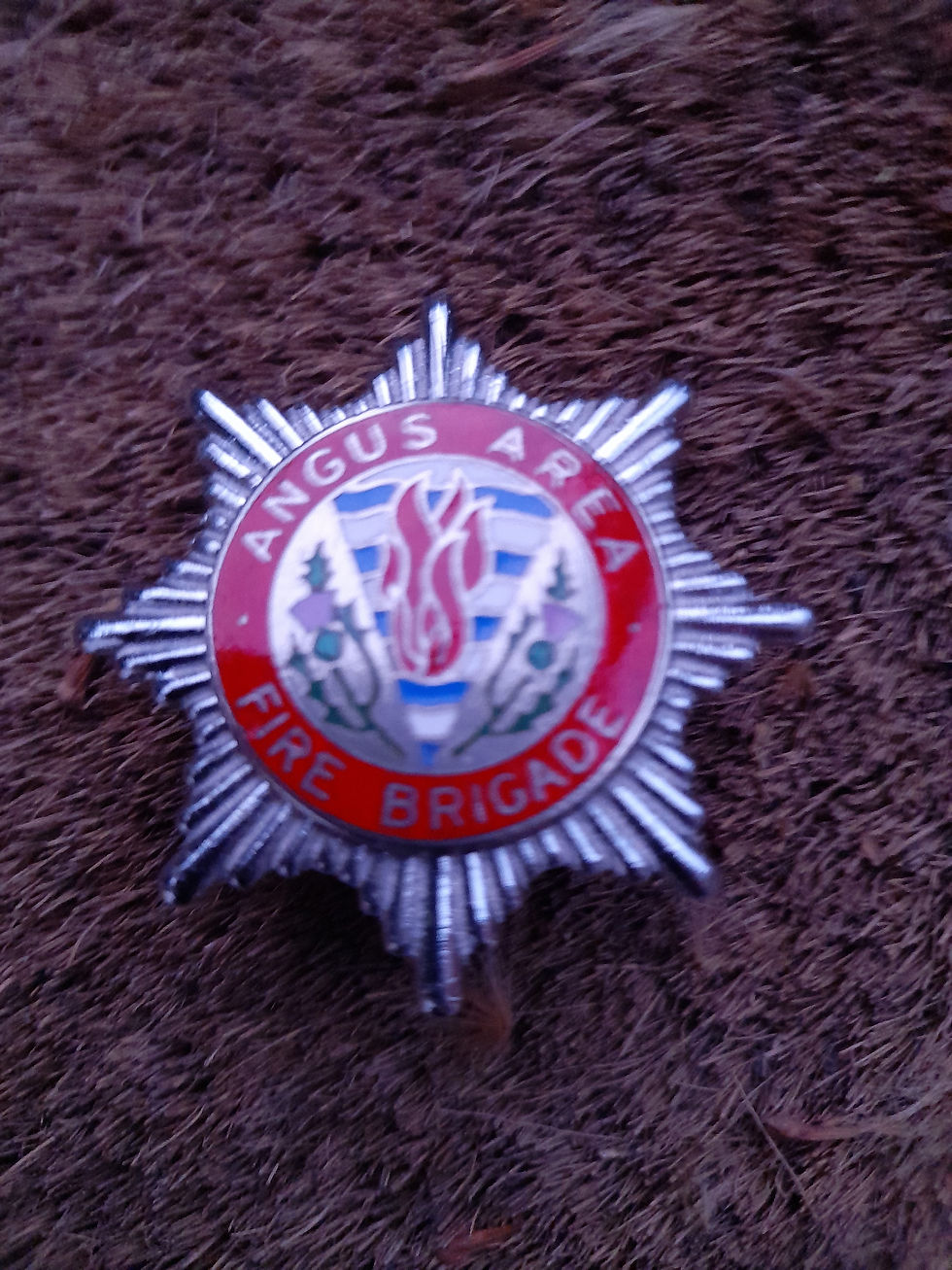 Angus Area Fire Brigade 1948 To 1975 RARE Chrome Cap Badge | jsf ...