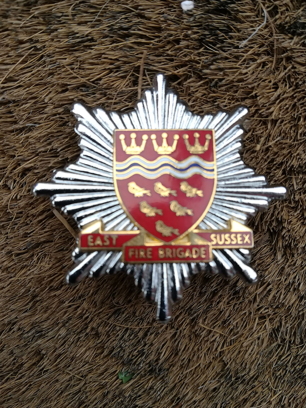 East Sussex Fire Brigade 1998 To 2004 Cap Badge | jsf-collectables