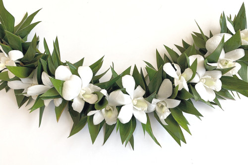 Orchid Haku/Lei Po'o | Leinani