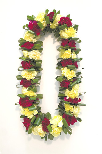 Carnation with Curled Ti Leaf | Leinani