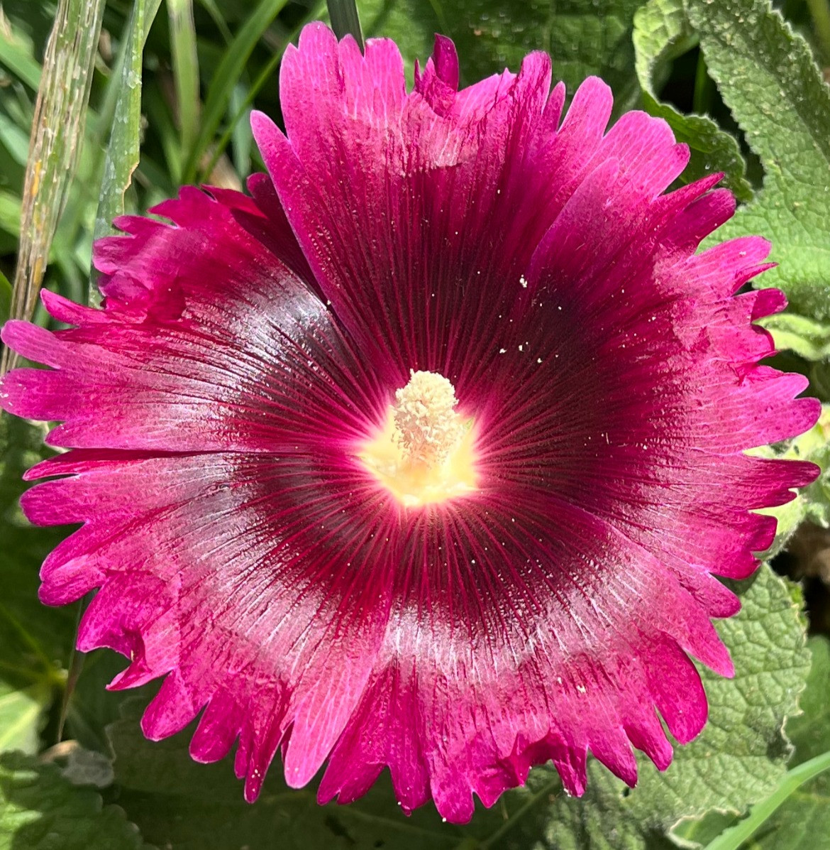 'I AM' Is Unmanifested Stillness and Silence