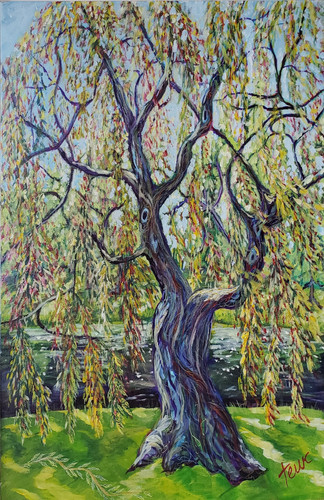 'Observer ~ the Willow' | My Site