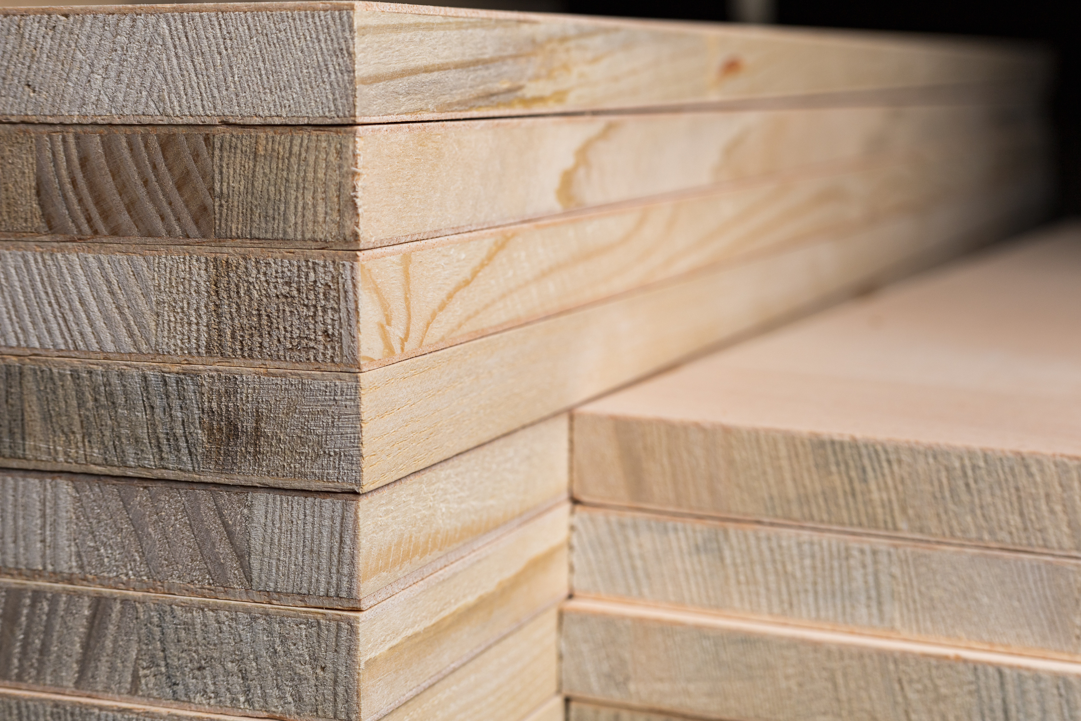 Panneau latté Chêne | Corse Bois négoce de Bois en Corse