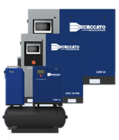 Air Compressor ปั้มลมสกรู คุณภาพสูง Ceccato CSM & DRD Year 2021