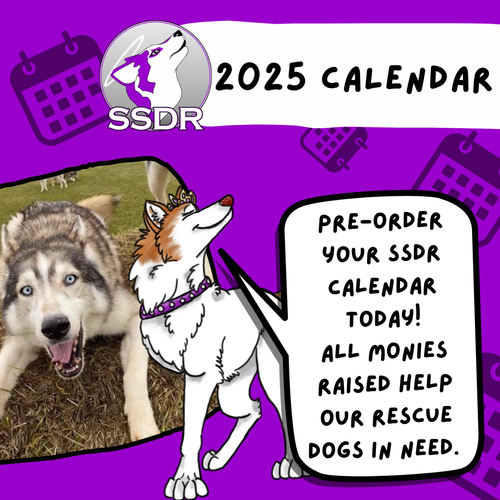 SSDR 2025 CALENDAR | SSDR