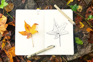 Apply for The Wilder Artist | mooreillustrations