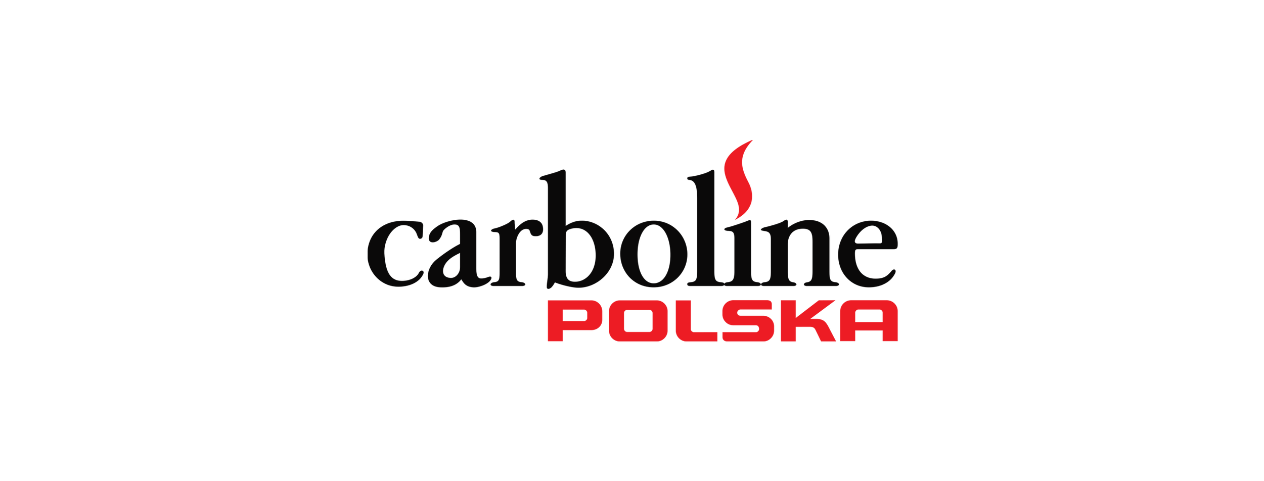 DOWNLOADS | Carboline Polska