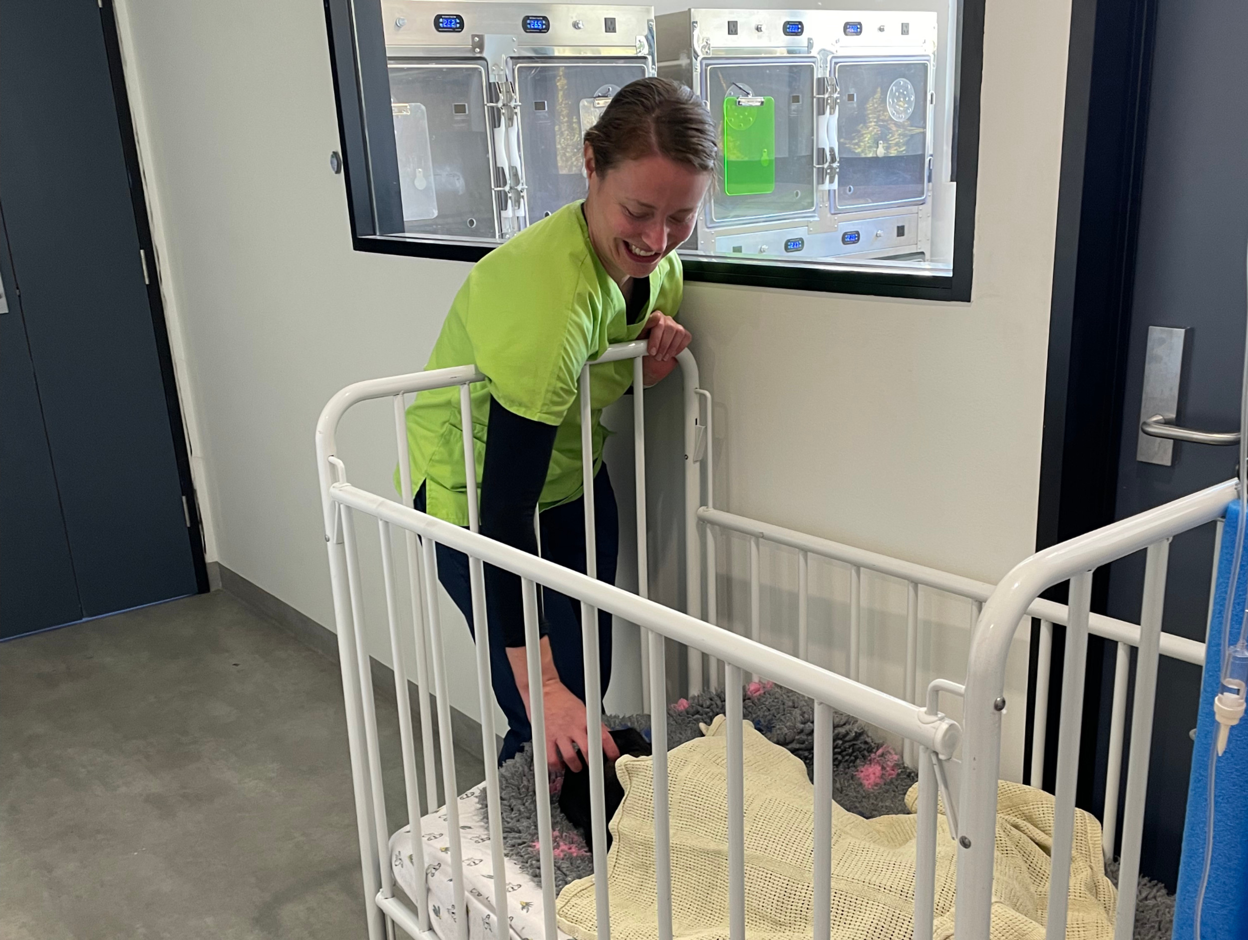 Students That Visit | Lake Road Veterinary Hospital