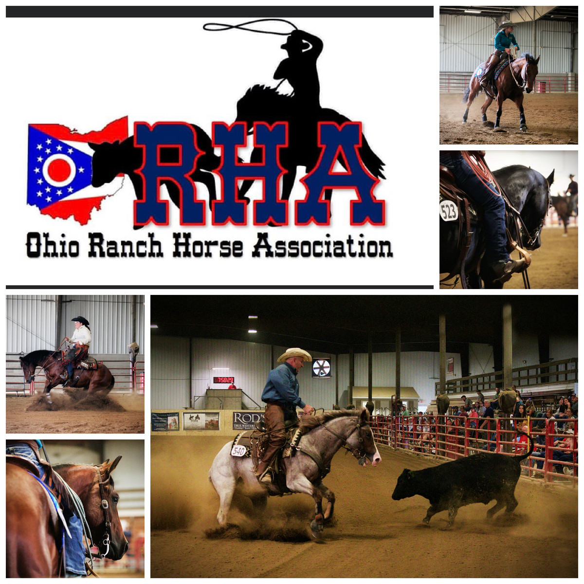 Ohio Ranch Horse Association