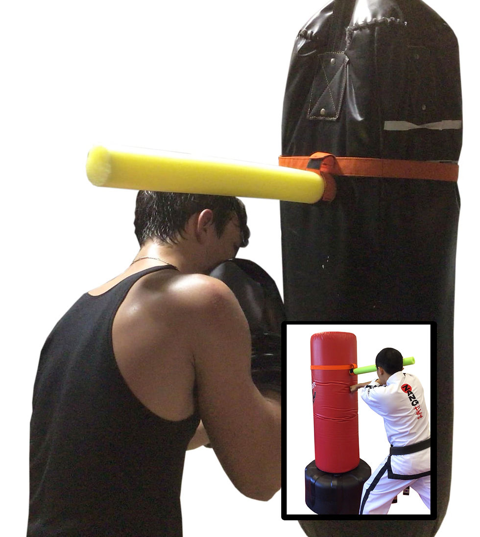 Boxing | Renegade Fighters