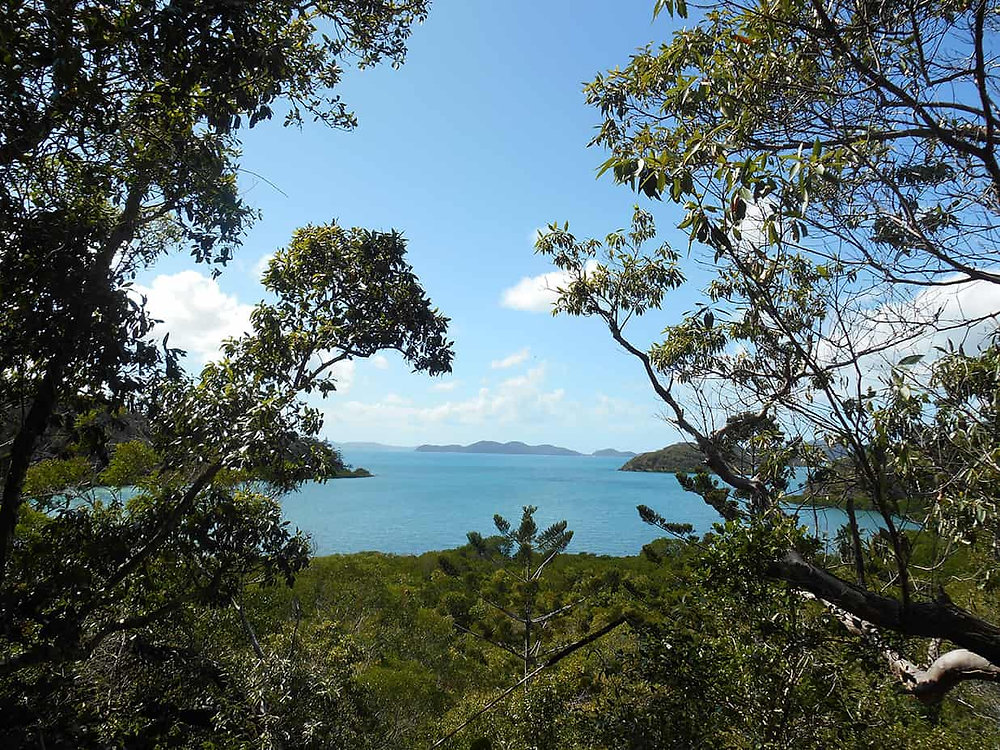 5 Things to do on the mainland