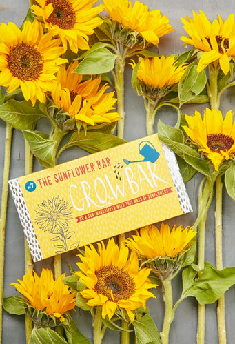 The Sunflower Bar | Siop Del
