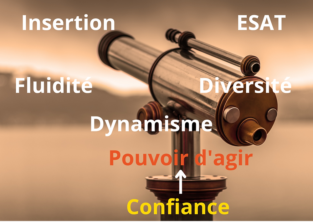 Plan de transformation des ESAT | HOZONS | France