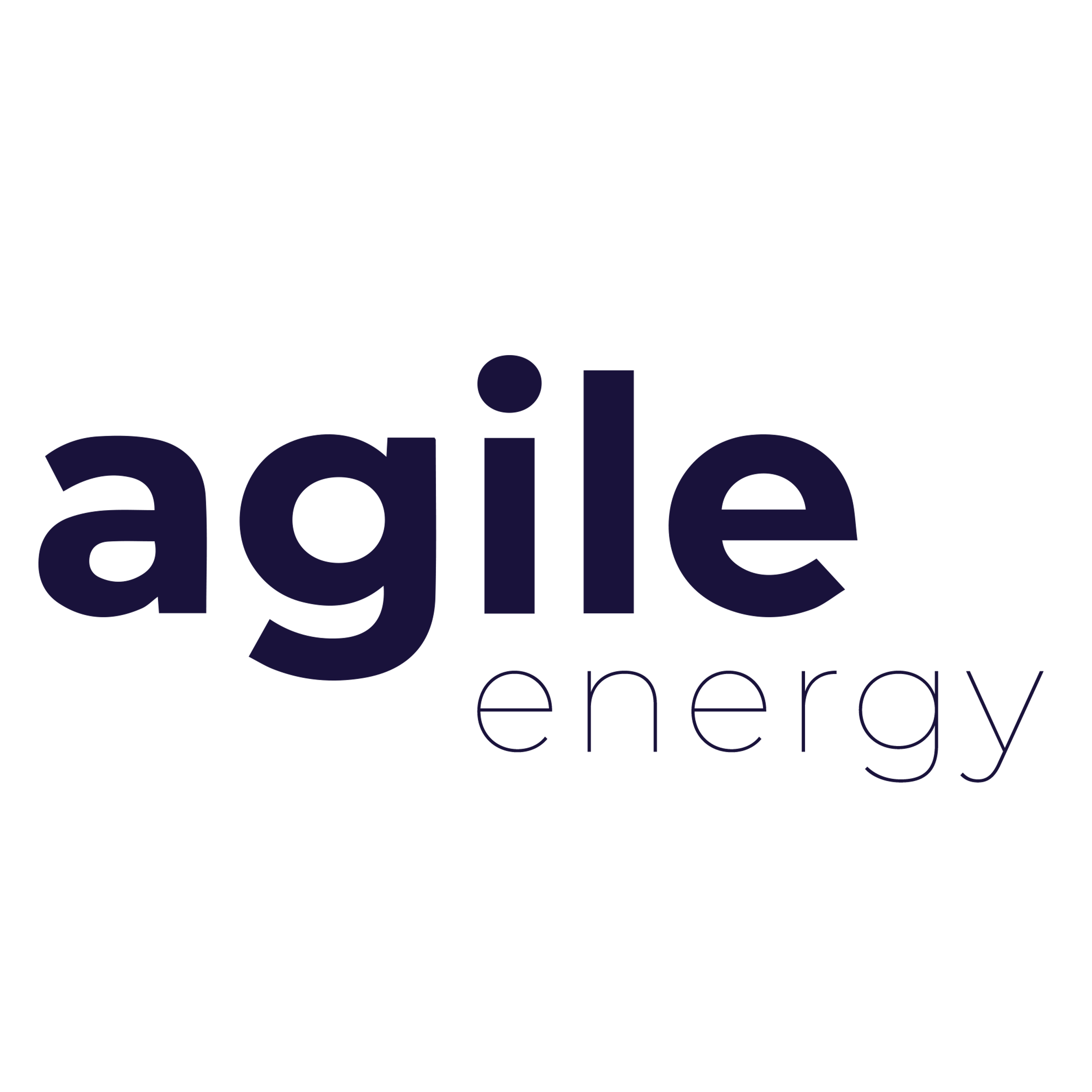 Agile Energy | Executive Roundtable Event | Agile Advantage Series ...