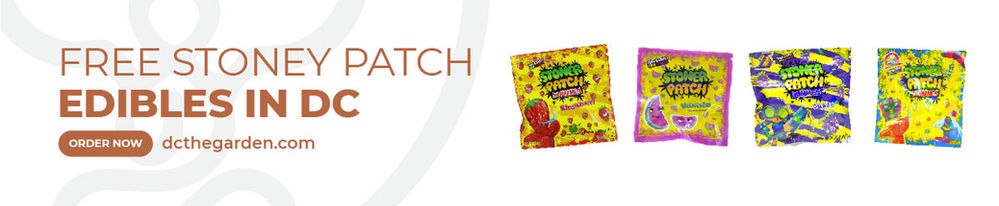 Stoney Patch Edible Review- Full Comparison Guide