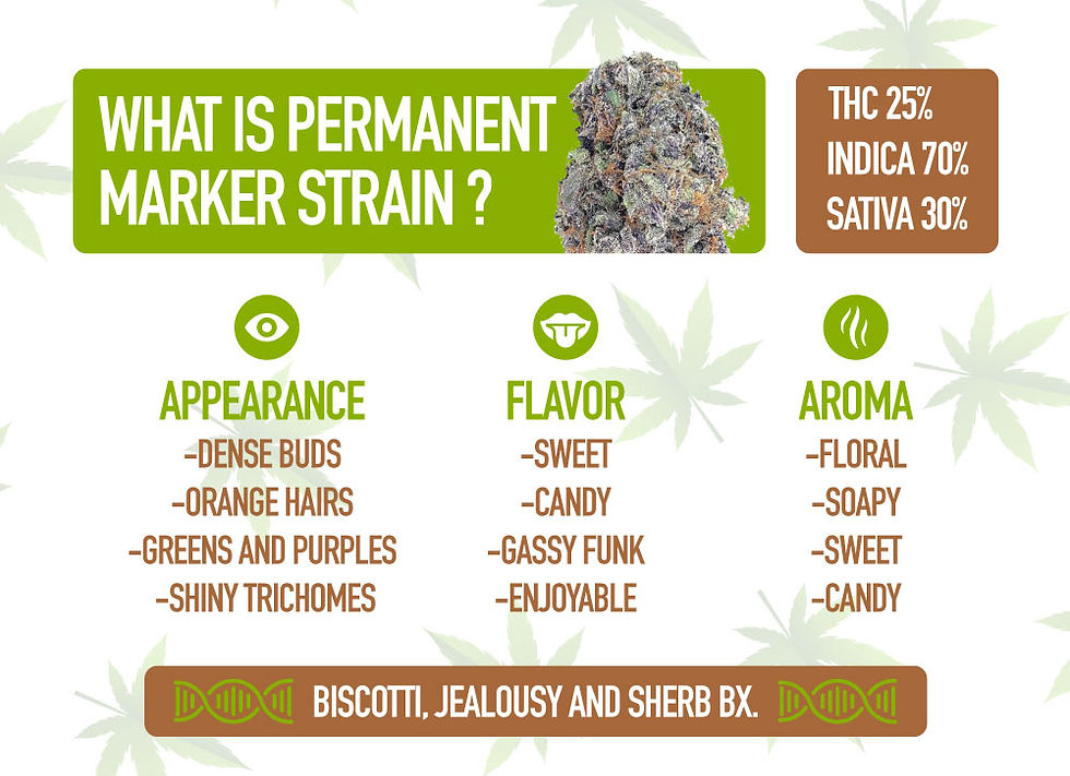 Permanent Marker Strain: Weed Strain Information