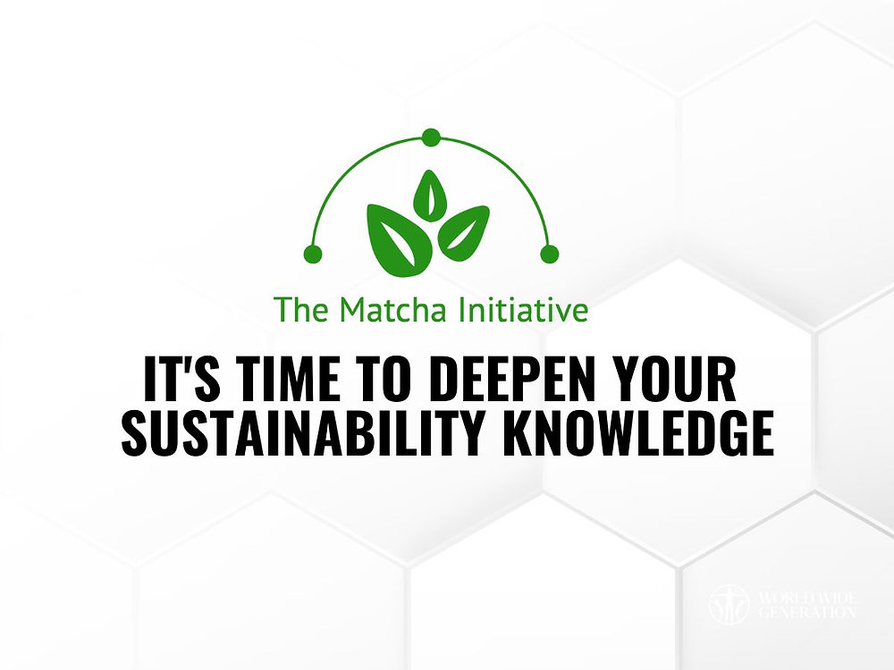 Deepen your sustainability knowledge & be part of the change