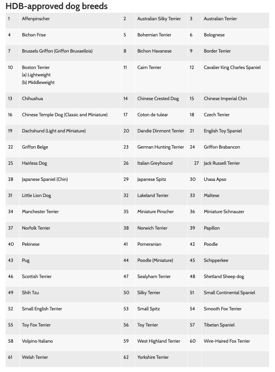 Guide to HDB Approved List of Dogs & Pets [Updated 2022]