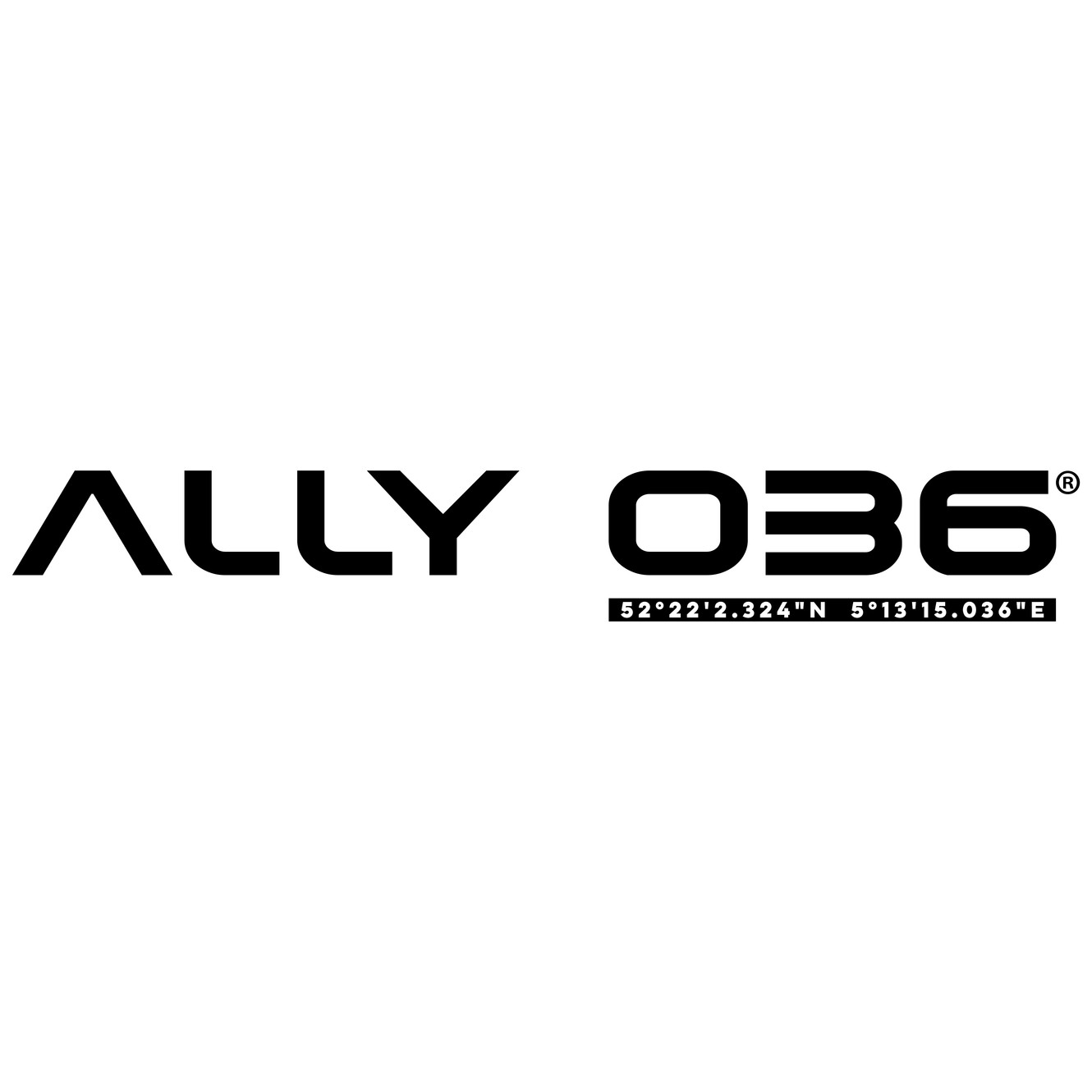 ALLY 036 | hoodies en t-shirts | ode aan onze stad Almere!