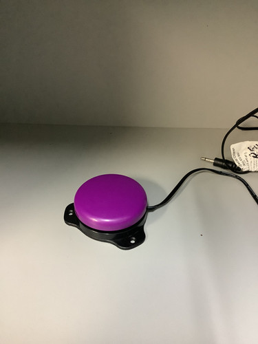 Purple Gumball Switch | reachservices