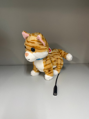 Switch Activated Cat | reachservices